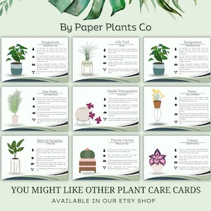 Golden Pothos Plant Care Card Template, Devil's Ivy Plant Tag, How to ...