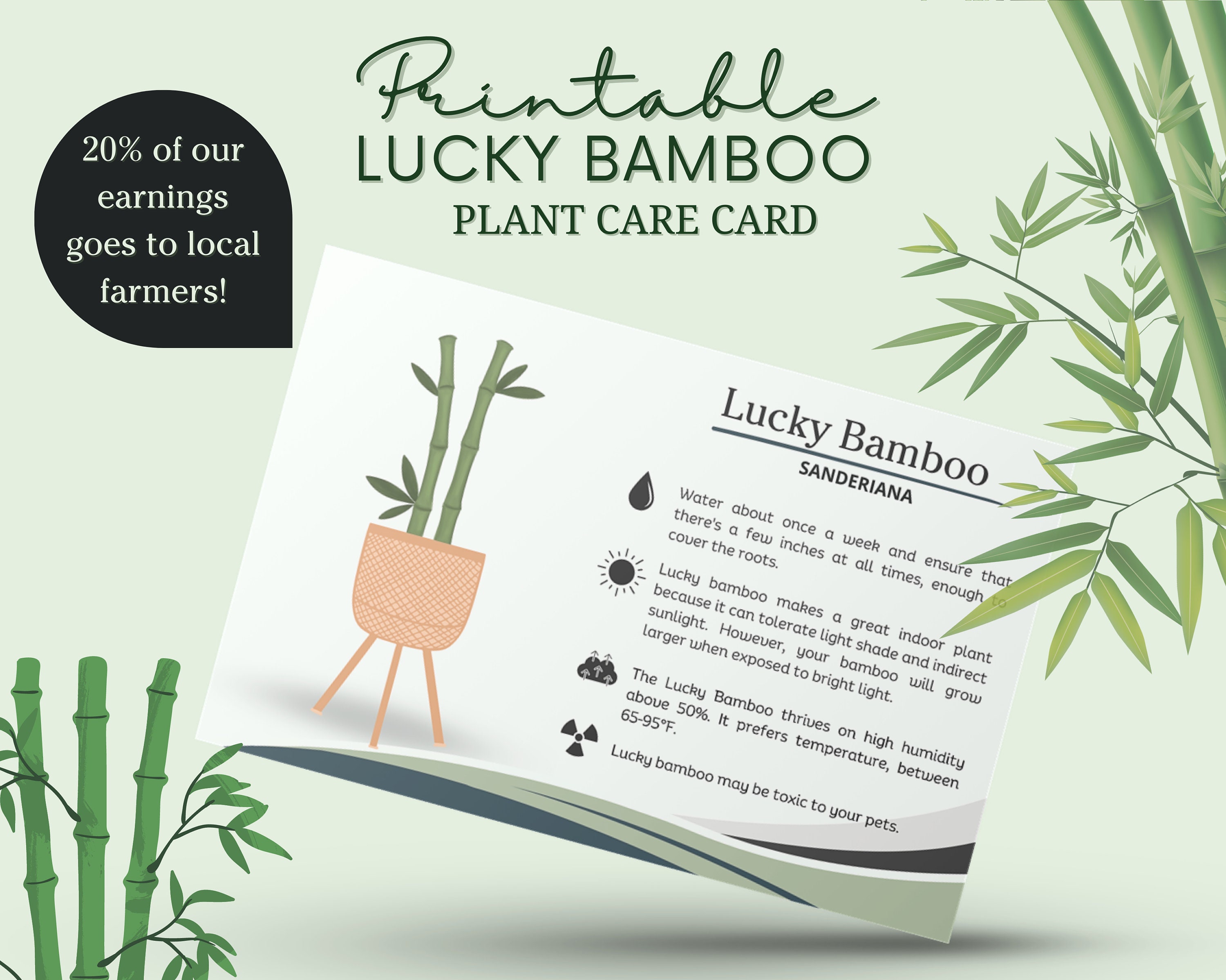 Lucky Bamboo Care Card, Chinese Bamboo Care Card, Lucky Bamboo Water ...