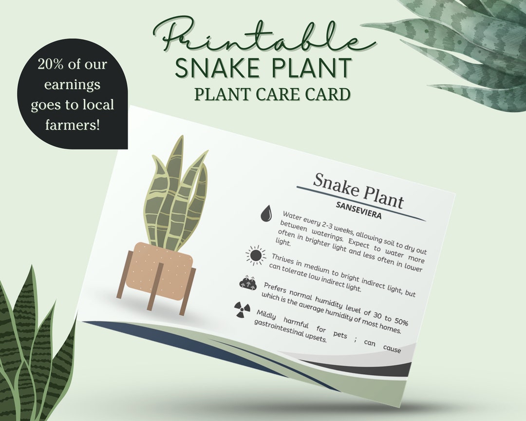 Snake Plant Care Card, Sanseviera Plant Care Card, Snake Plant Tag, How ...