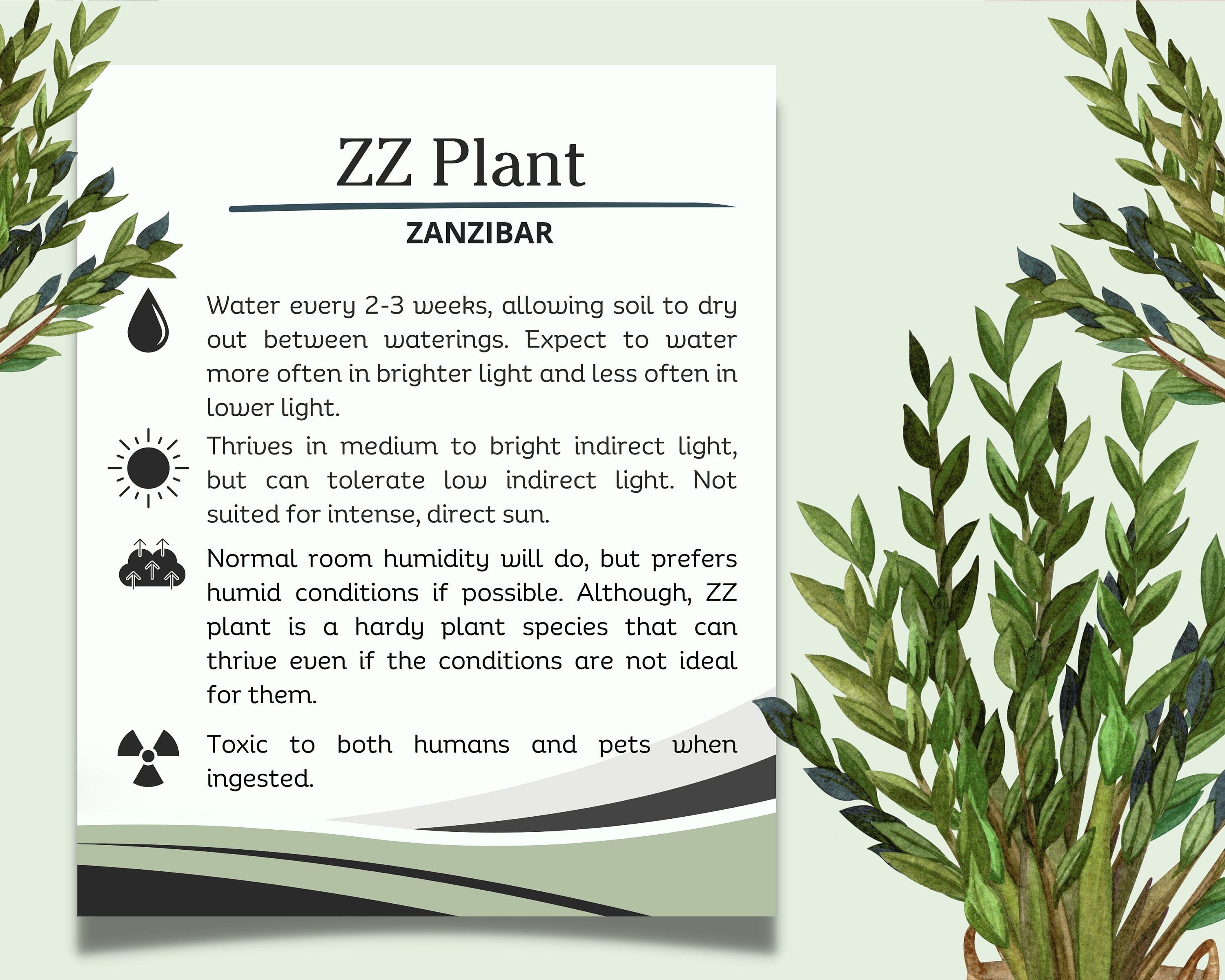 ZZ Plant Care Card, Zanzibar Plant Care Card, Zanzibar Water Schedule ...