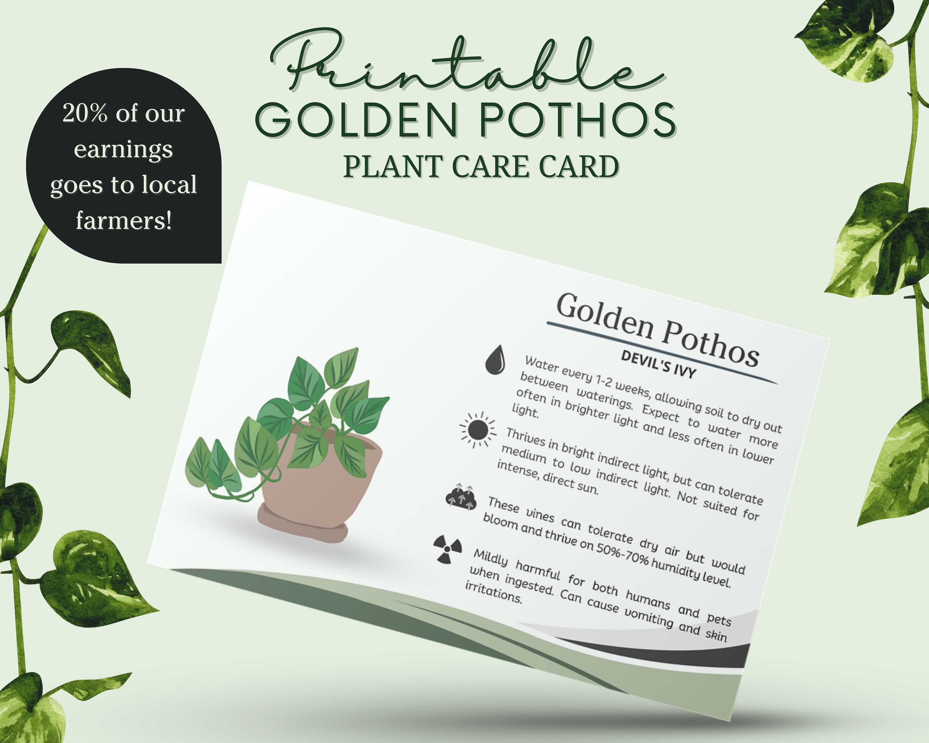Golden Pothos Plant Care Card Template, Devil's Ivy Plant Tag, How to ...