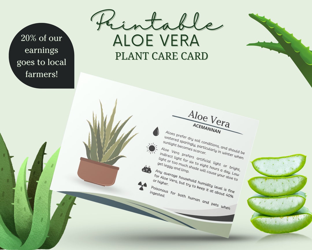 Aloe Vera Care Card, Printable Aloe Vera Card, Acemannan - Etsy