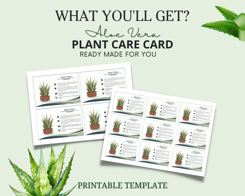 Aloe Vera Care Card, Printable Aloe Vera Card, Acemannan - Etsy