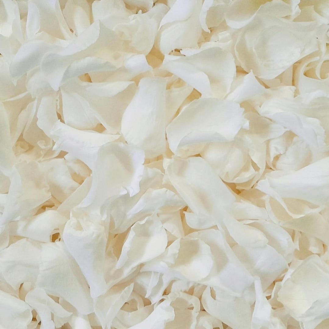 Small Ivory Rose Petals - Biodegradable Wedding Flower Confetti - Etsy ...