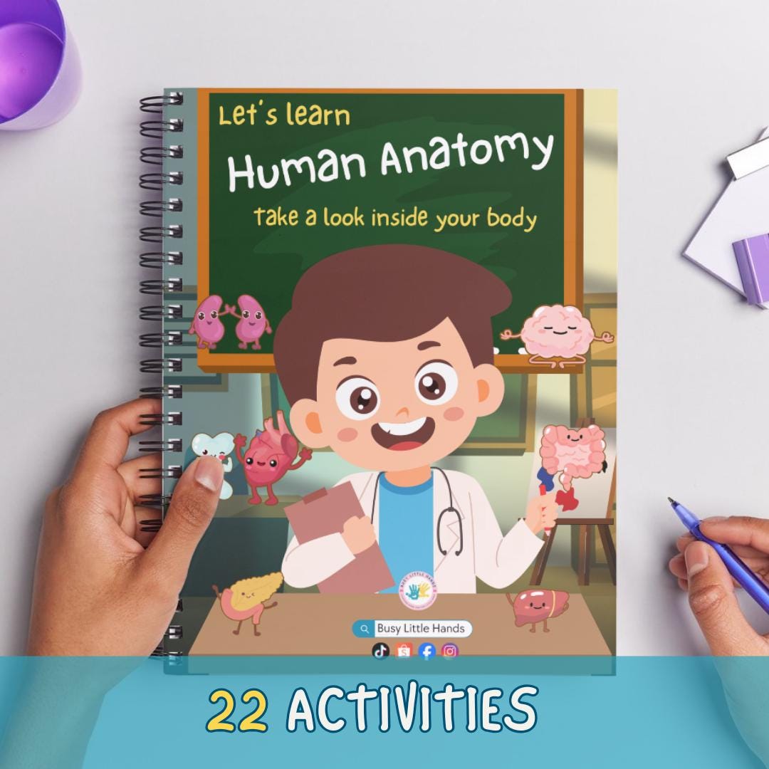 Human Anatomy Busy Book Printable Preschool Worksheets Homeschool ...