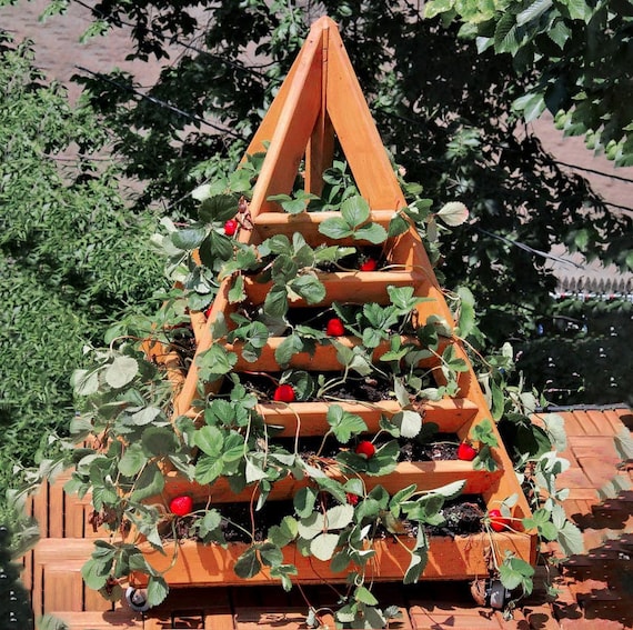 Vertical Strawberry Tower Plan Planting Strawberries Vertically: