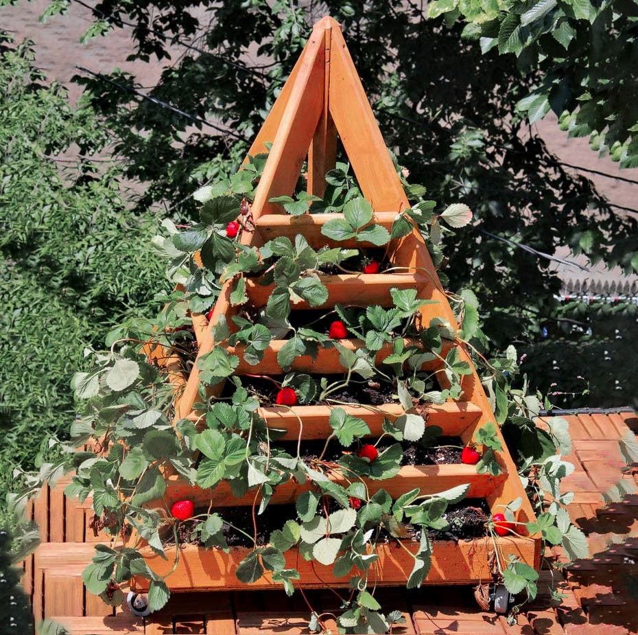 Pyramid Strawberry Planter How To Build A DIY Gutter Planter (Pyramid)