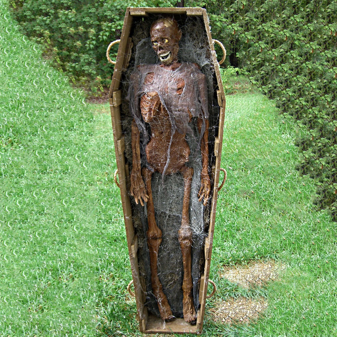 DIY Halloween Coffin Plans Craft the Ultimate Halloween Home Decor Wood ...