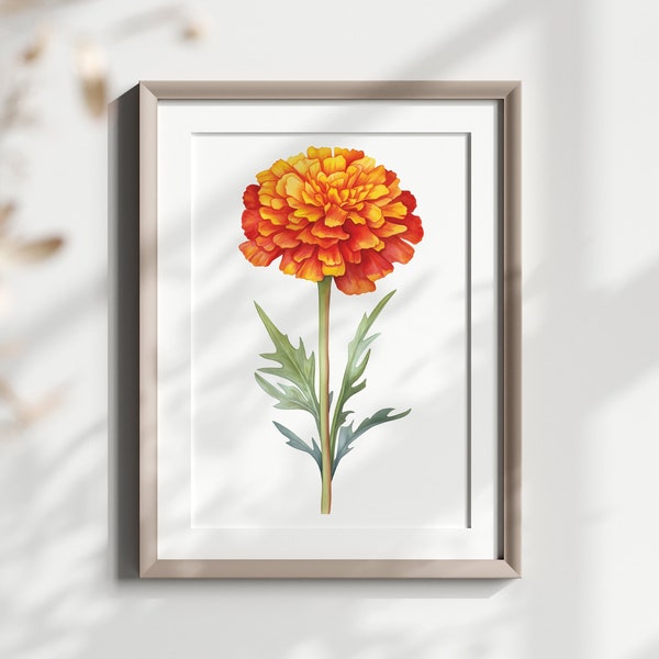Marigold Print - Etsy