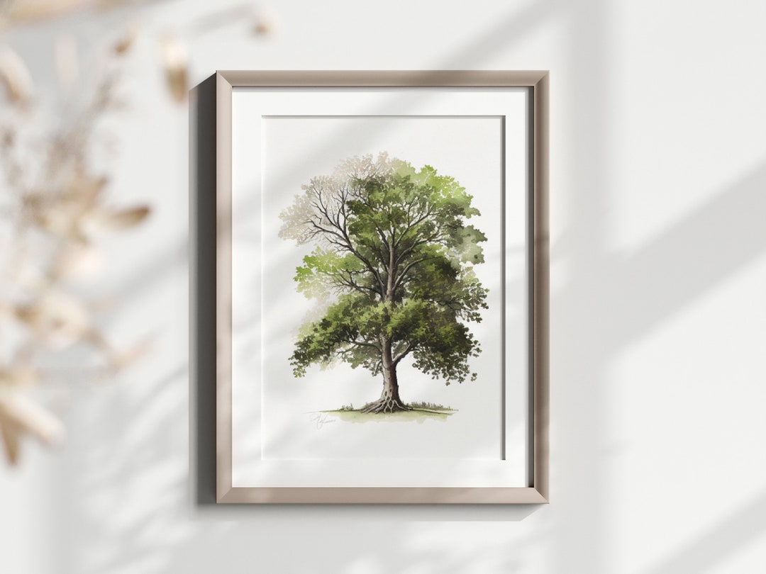 English Elm Tree - Stunning British Native Watercolour Digital Print - Etsy
