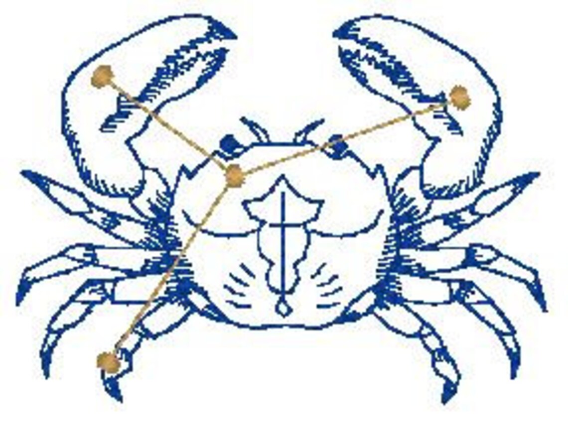 4 Sets 12 Horoscope Zodiac Star Signs Embroidery Files to Fit 100 X ...