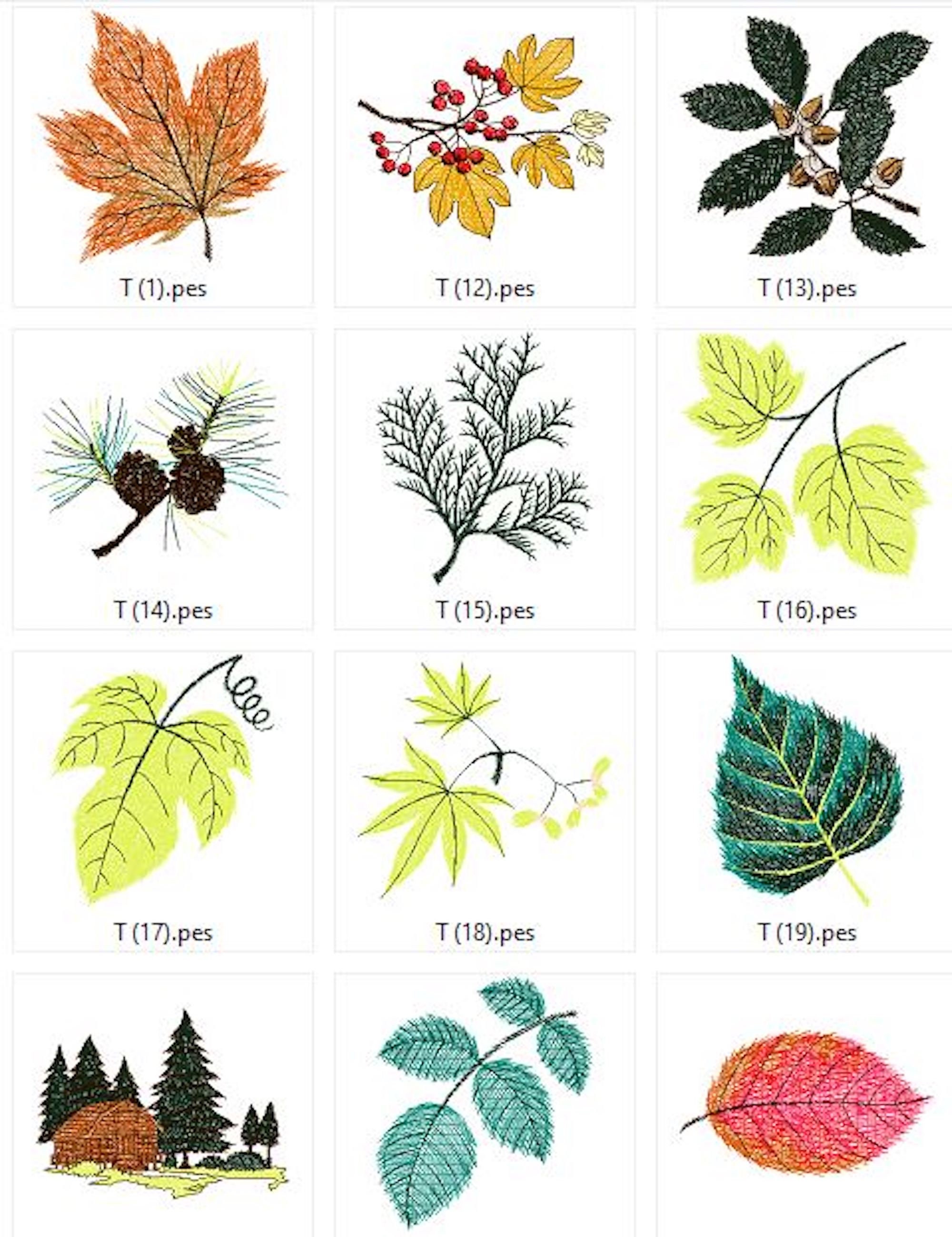 Tree & Leaves Set of 19 Embroidery Files - 4 X 4 Inches ( 100 X 100mm ...
