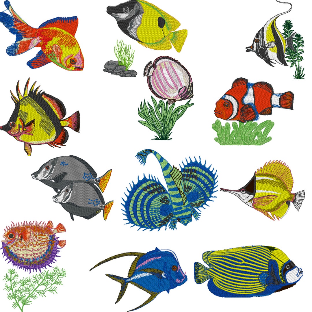 Tropical Fish -set of 12 Embroidery Files Fit 4 X 4 Inches ( 100 X ...