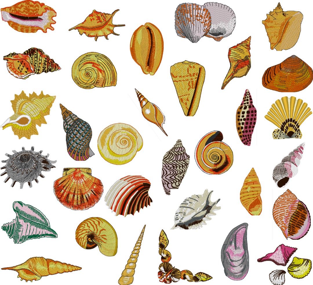 Shells Sea Shore Great Variety -set of 32 Embroidery Files- Each Fits 4 ...