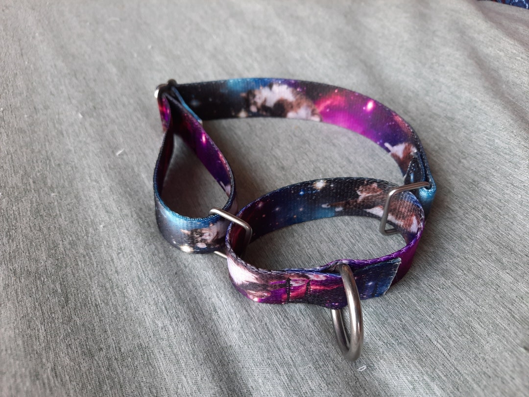 Space the Cat Collar - Etsy
