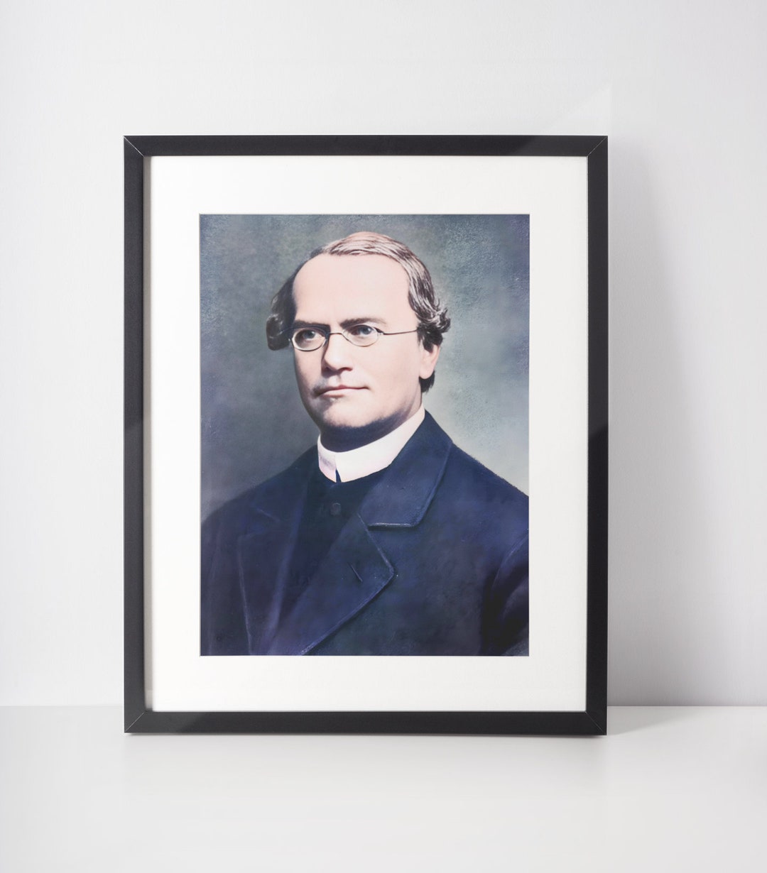 Gregor Mendel Photo, 1862, Digitally Enhanced and Colourised, Digital ...