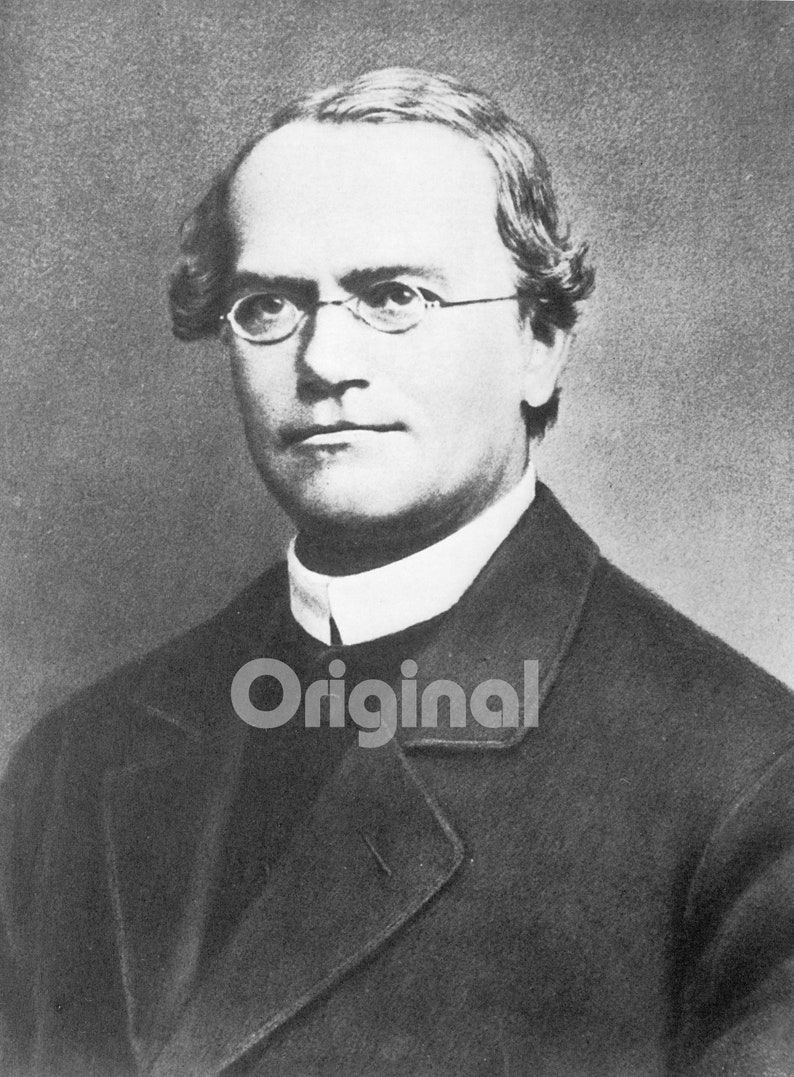 Gregor Mendel Photo, 1862, Digitally Enhanced and Colourised, Digital ...