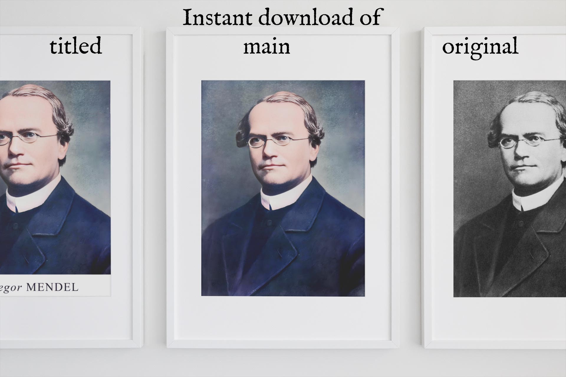 Gregor Mendel Photo, 1862, Digitally Enhanced and Colourised, Digital ...