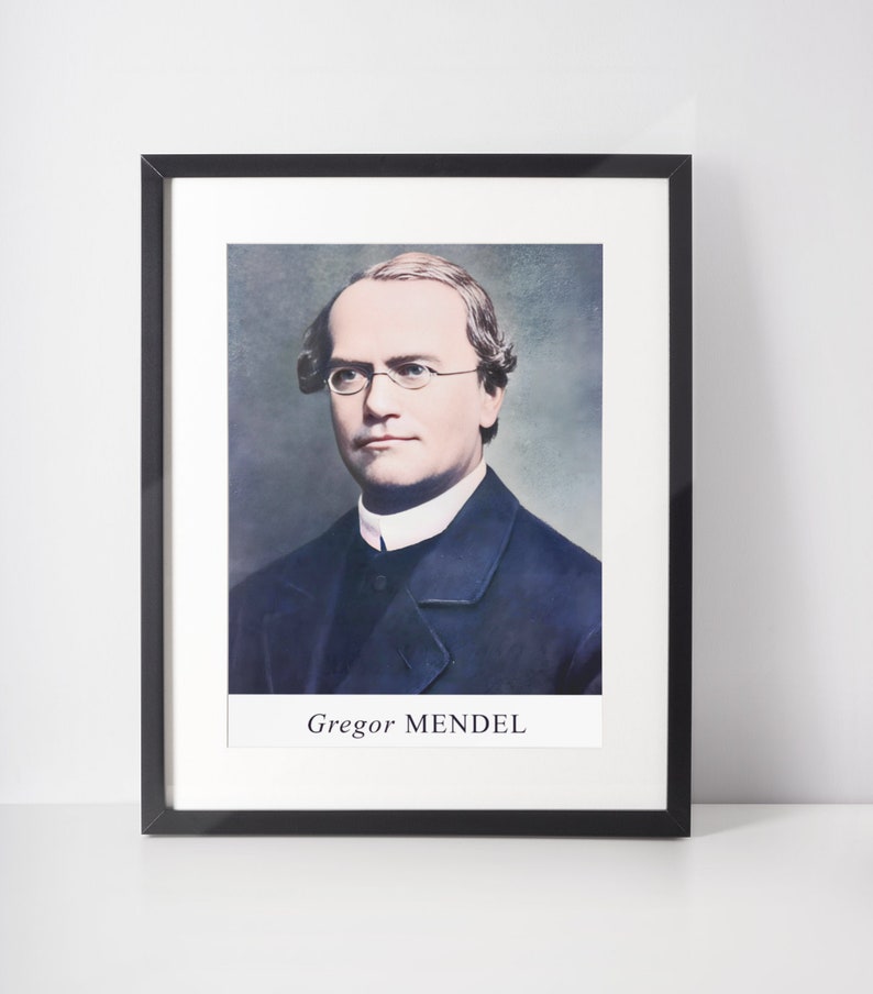 Gregor Mendel Photo, 1862, Digitally Enhanced and Colourised, Digital ...