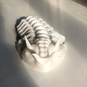 Articulated Trilobite - Lifelike 3D Printed Prehistoric Creature Toy - Etsy
