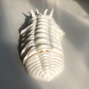 Articulated Trilobite - Lifelike 3D Printed Prehistoric Creature Toy - Etsy