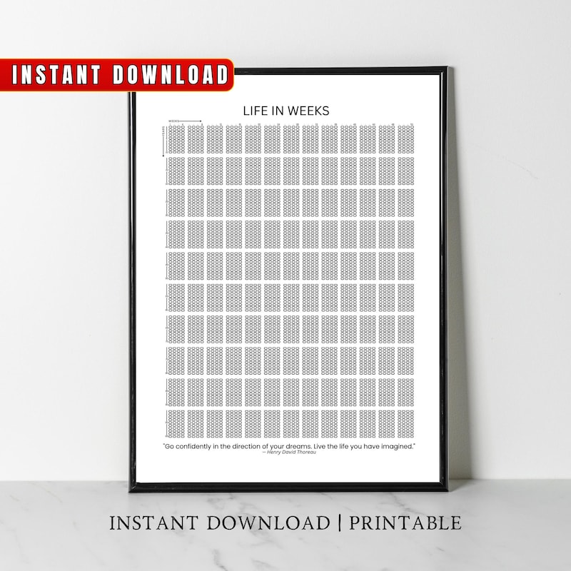 Life in Weeks Poster - Etsy