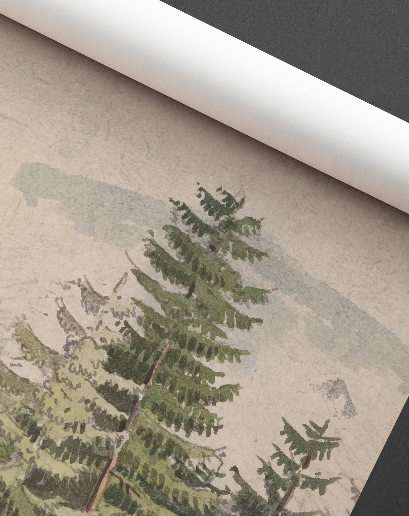 Evergreen Forest Mural, Rustic Nature Wall Art, Botanical Forest Design ...