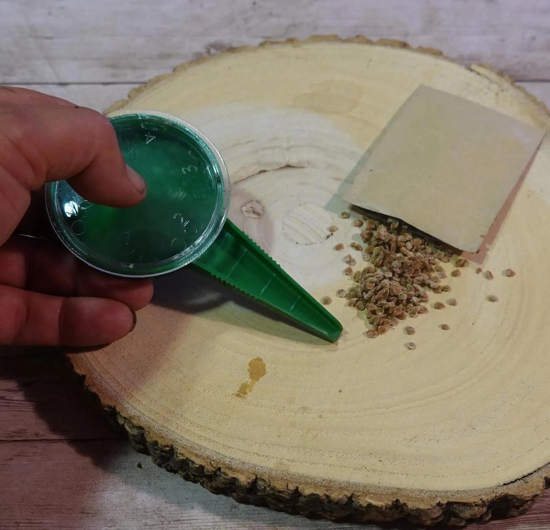 1 Disc Seeder With Different Sowing Sizes. Seedbed Seeder - Etsy