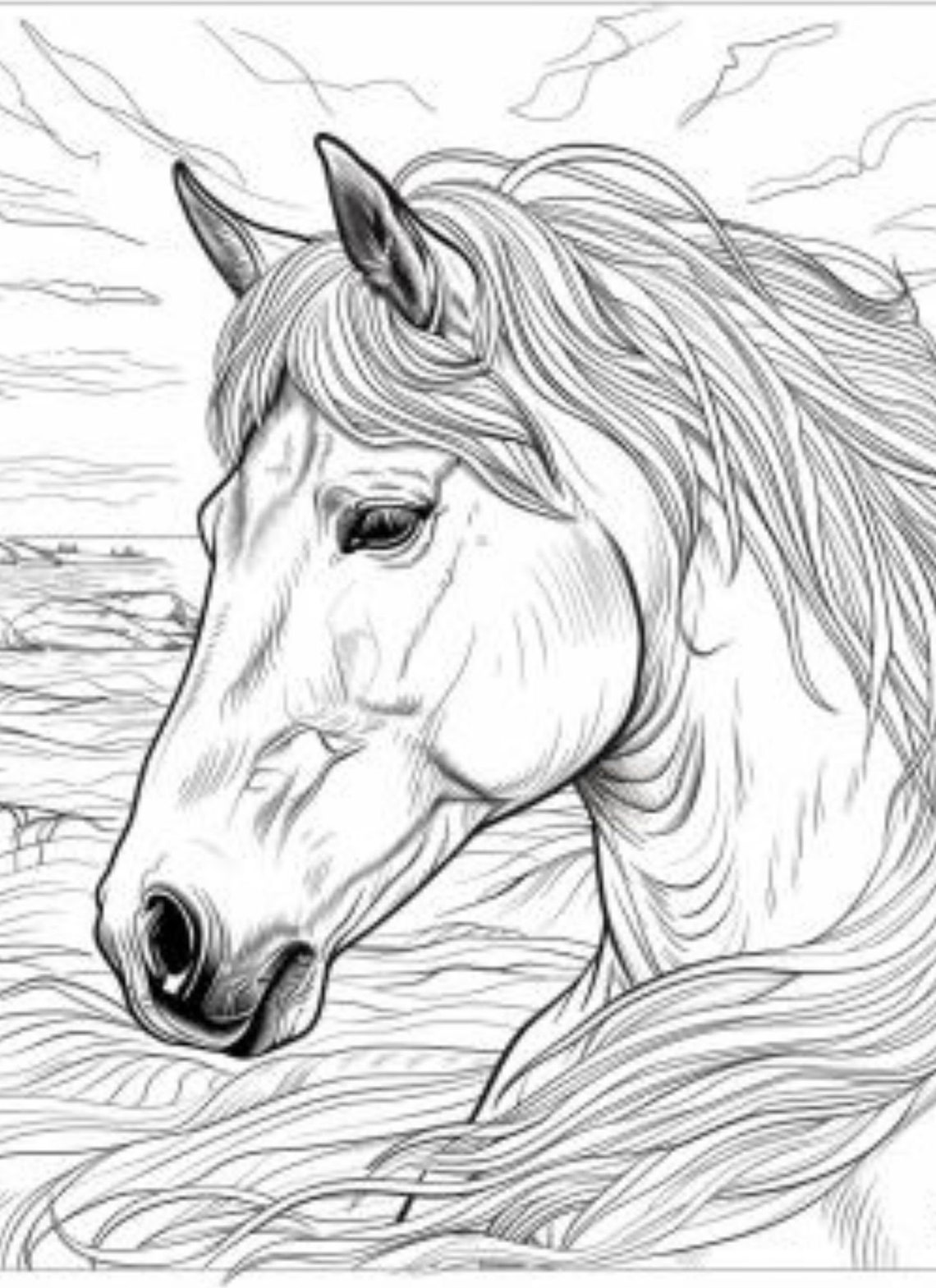 Horse Colouring Pages,40 Amazing Horse Designs, Over 20 Different ...