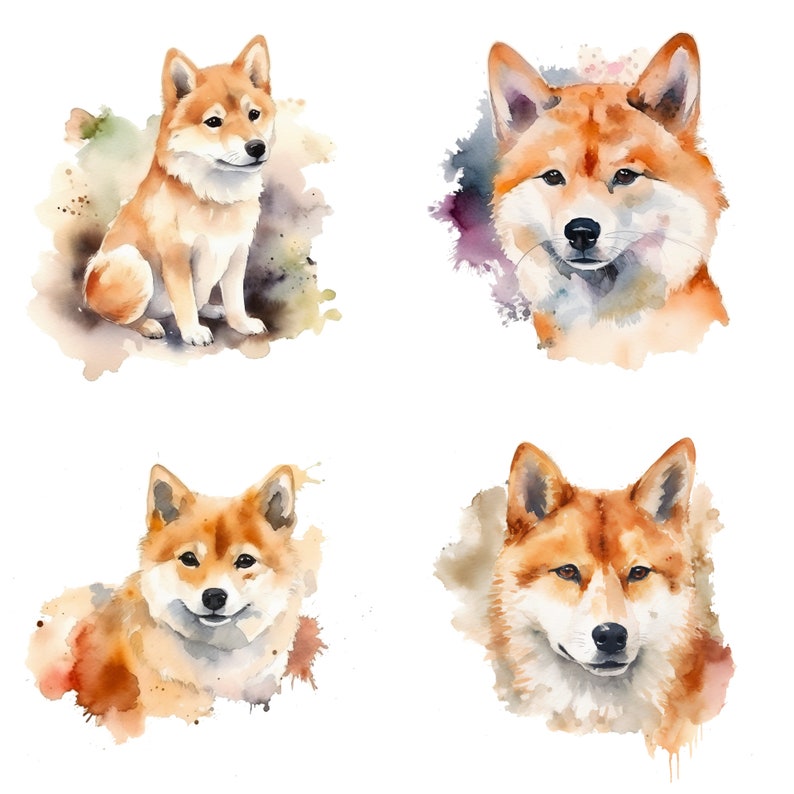 4 Shiba Inu Clipart Shiba Inu Art Dog PNG Watercolor Dog - Etsy