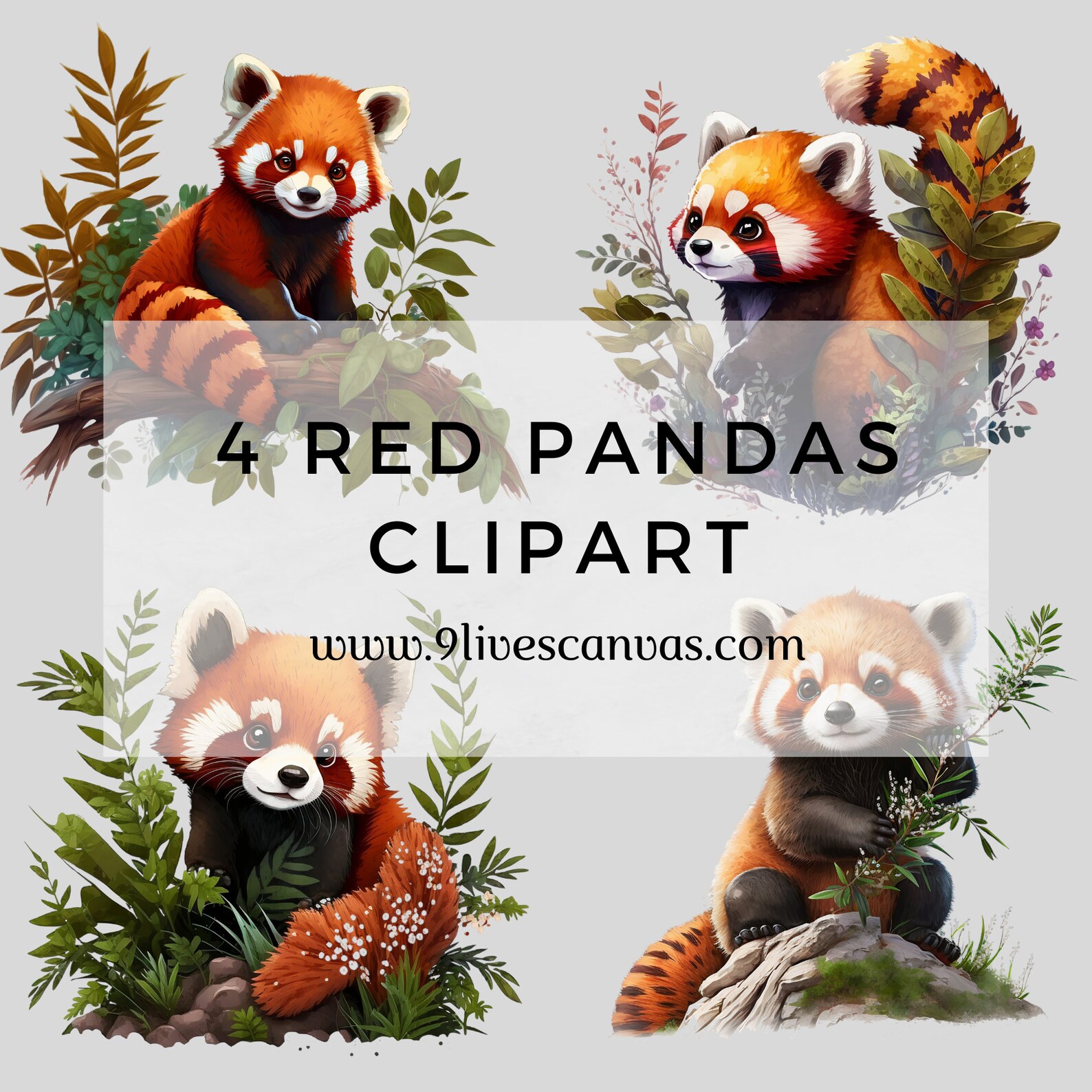 4 Red Pandas Clipart, Red Panda Clipart, Red Panda Bundle PNG, Pack of ...