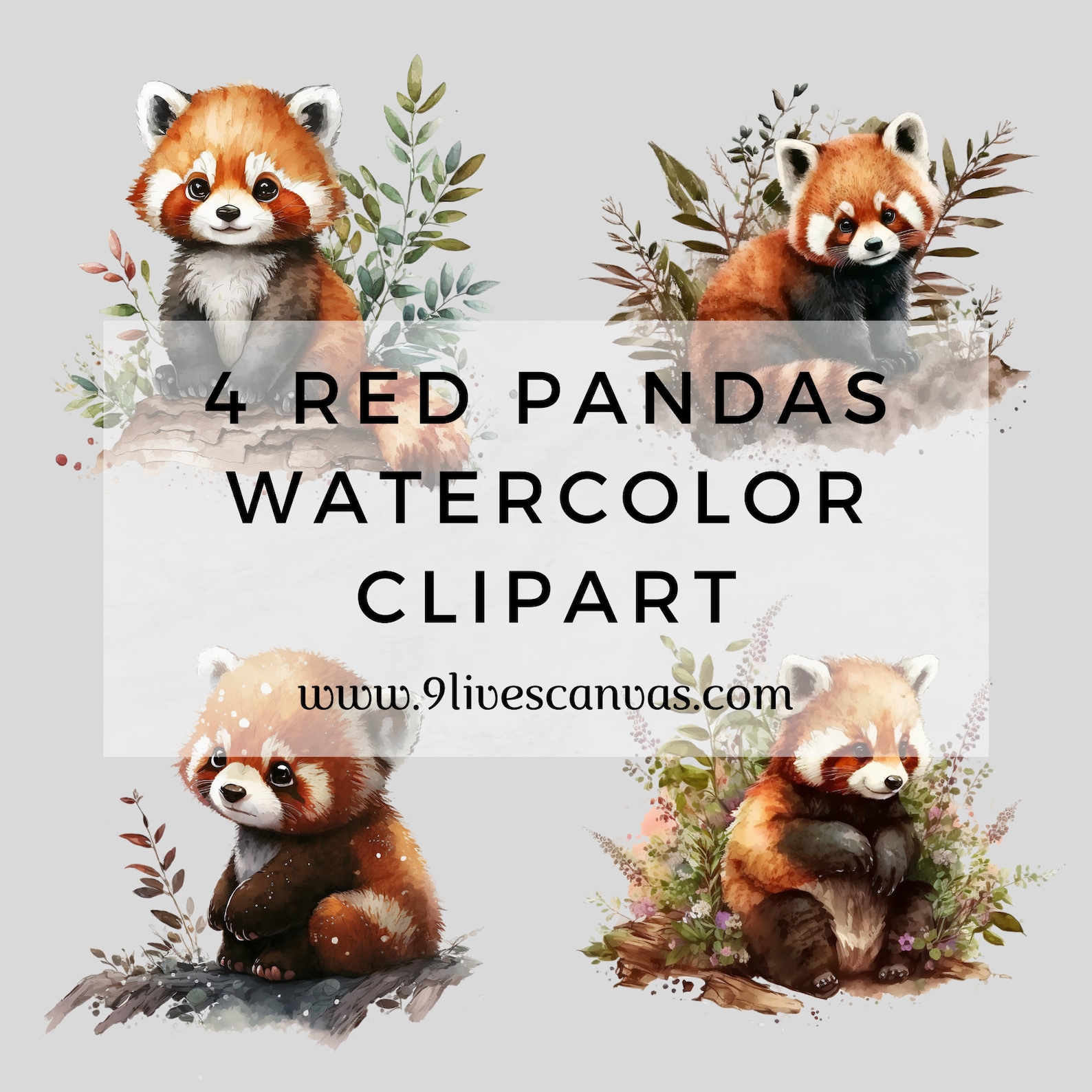 4 Watercolor Red Pandas Clipart, Red Panda Clipart, Red Panda Bundle ...