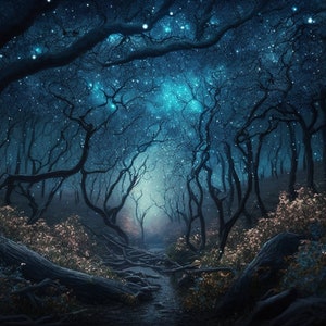 5 Night Forest Wallpaper Images, Enchanted Forest Desktop Wallpaper ...