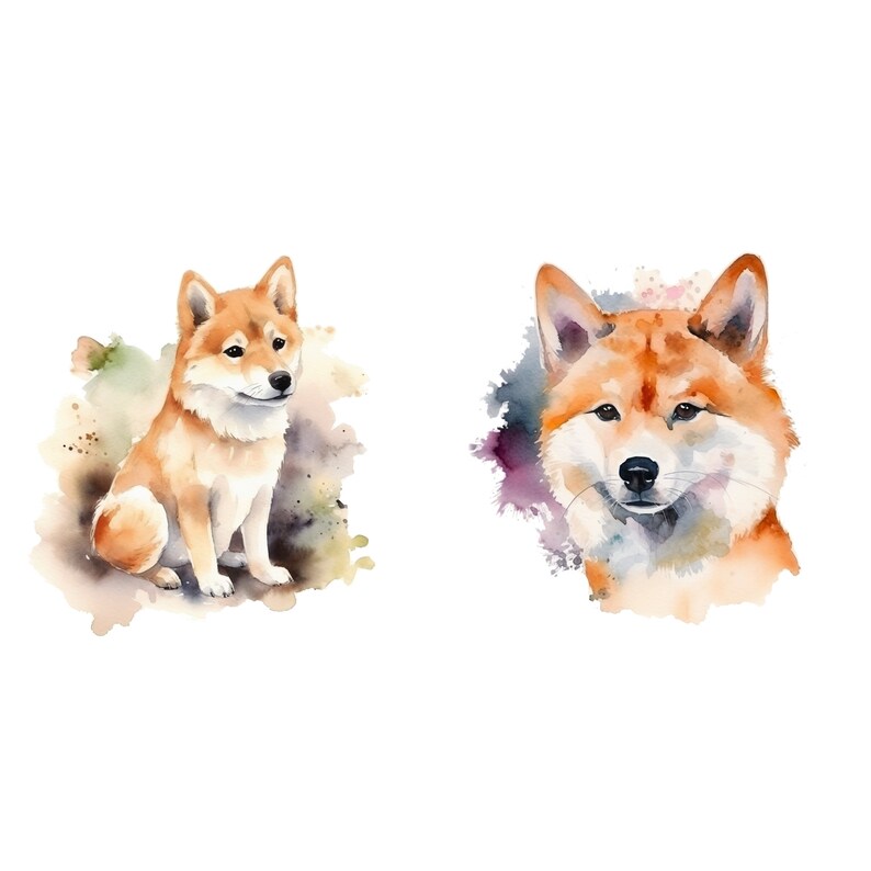 4 Shiba Inu Clipart | Shiba Inu Art | Dog PNG | Watercolor Dog Clipart ...