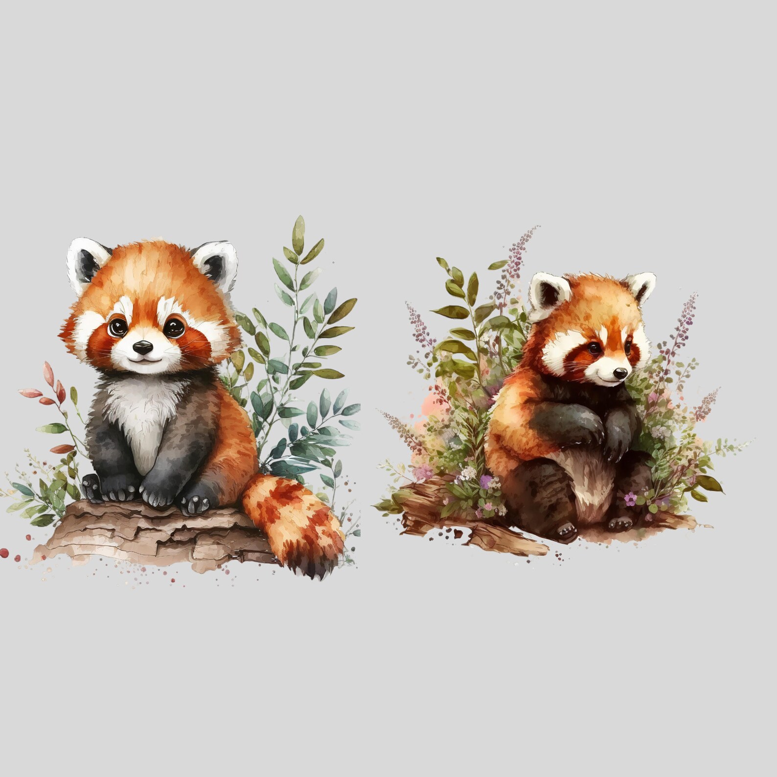 4 Watercolor Red Pandas Clipart, Red Panda Clipart, Red Panda Bundle ...