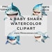 4 Watercolor Baby Shark Clipart, Baby Shark Clipart, Baby Shark Bundle ...