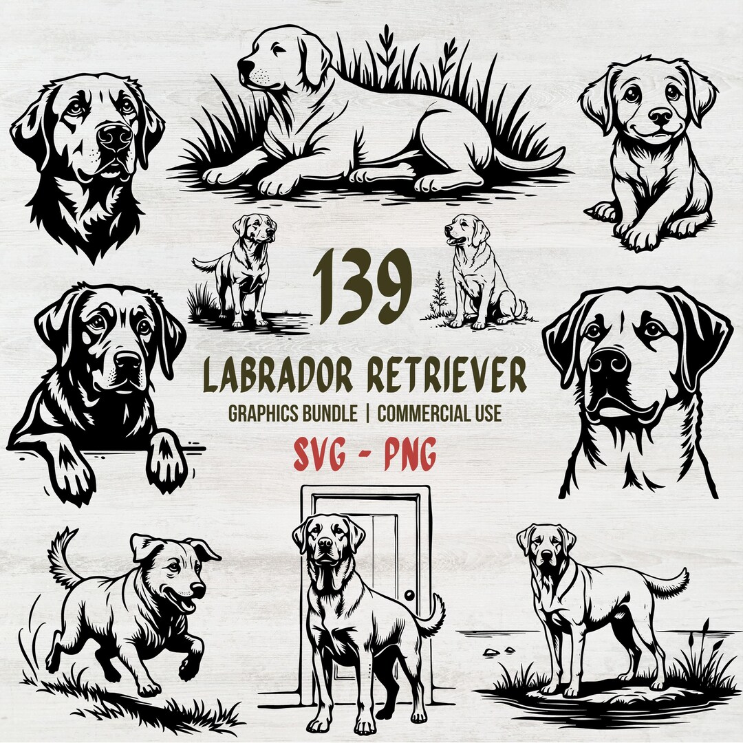 Labrador Retriever SVG, Dog Clipart Bundle, Cricut, T-shirt Design ...