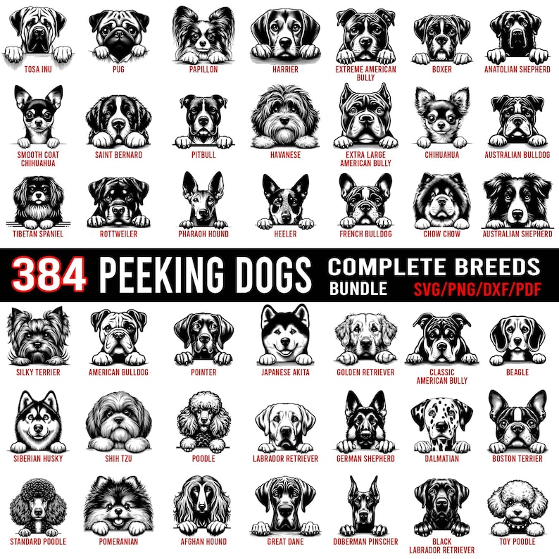 384 - Peeking Dog Heads Svg, Png, Dxf and PDF Bundle Graphics - Peeking ...