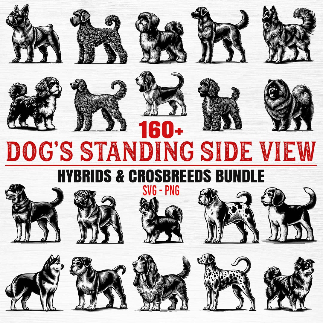 Hybrid Dog Breeds SVG Bundle | 160+ Clipart Designs (digital Download ...