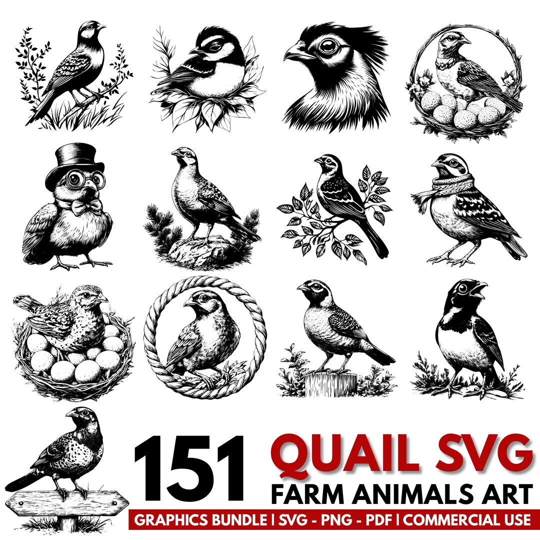 Quail SVG Bundle: Farm Bird Clipart, Cricut & Silhouette Files ...