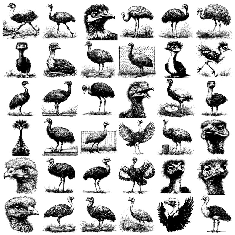 Emu SVG Bundle: Australian Bird Cut Files for Cricut (instant Download ...