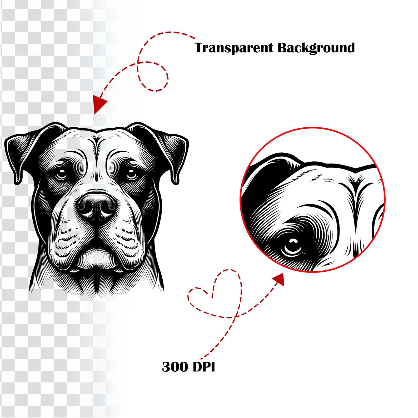 1160 Dog Heads With Complete Breeds Bundle, Vector Art, Dog Breed Svg ...