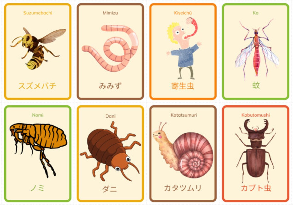 58 Cattle & Insect Japanese Printable Flashcards, Beautiful Flashcard ...