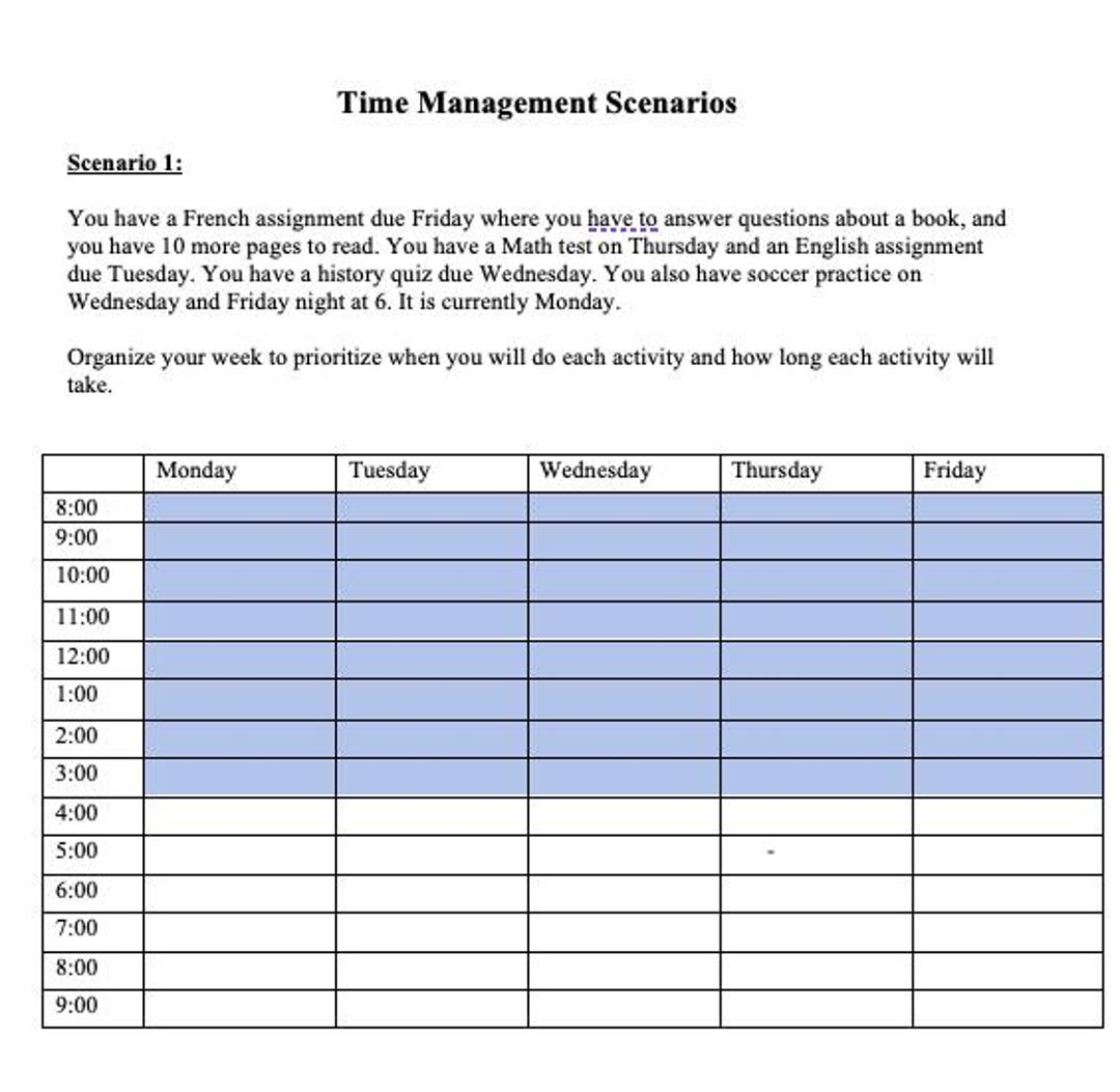 Executive Functioning (time Management, Prioritization, Organization ...