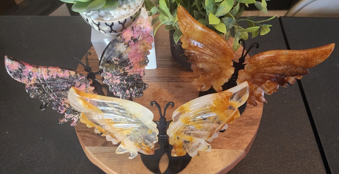 Butterflies, Butterfly Wings, Stand Included, Butterfly Community ...