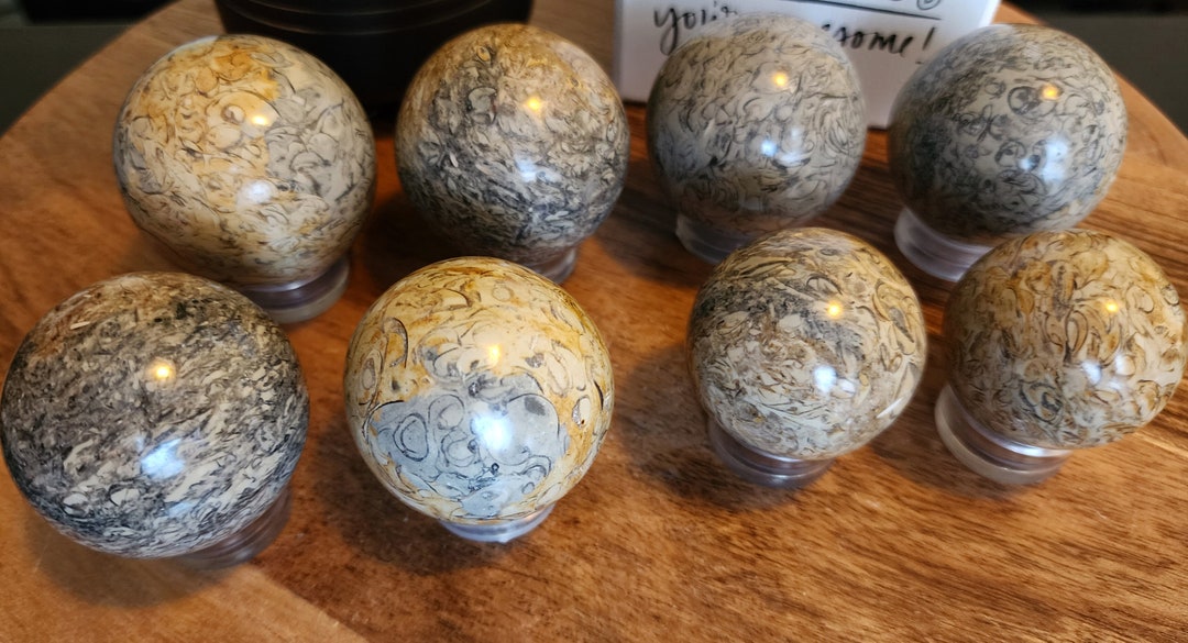 Natural, Fossilized, Dinosaur Bone, Sphere, Dinosaur, Crystal, Crystals ...