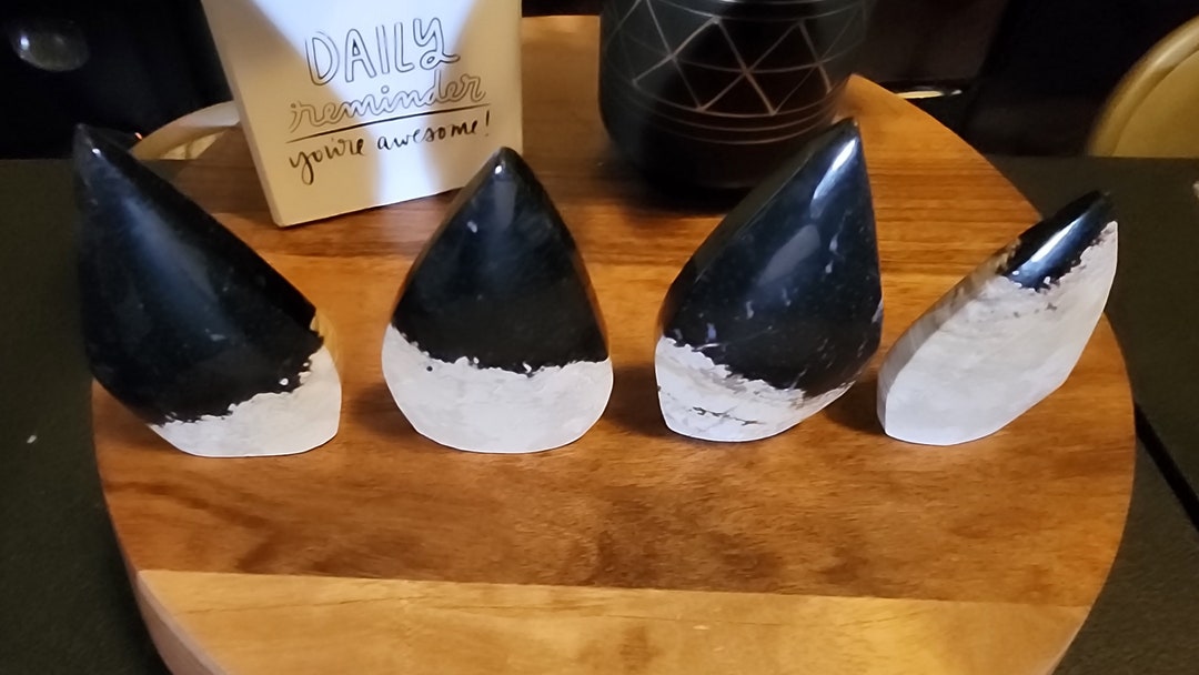 Fossilized Palm Root, Palm Root, Freeforms, Palm Root Lovers, Crystal ...