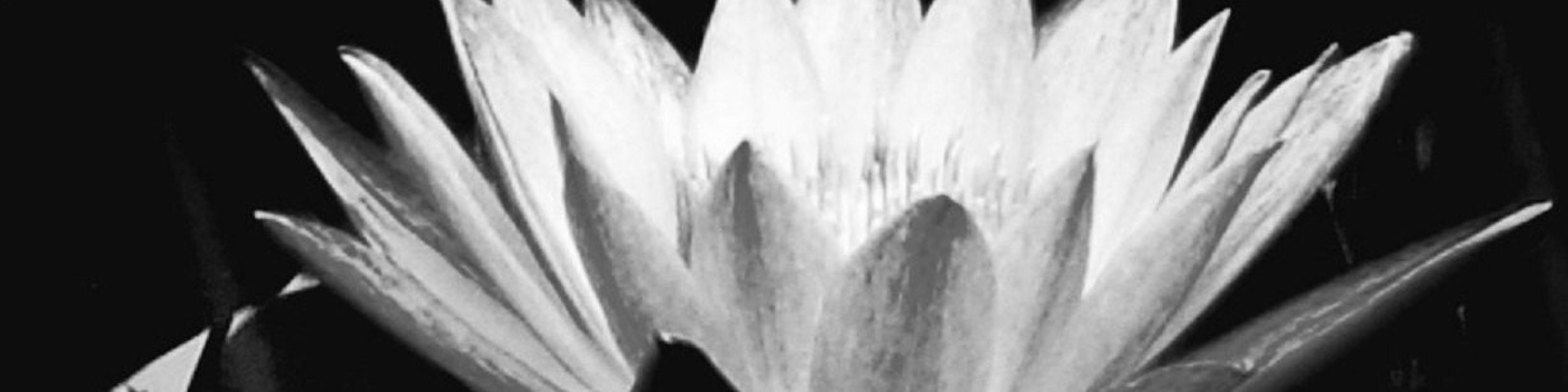 SmidgeSmadgeHolistic - Etsy