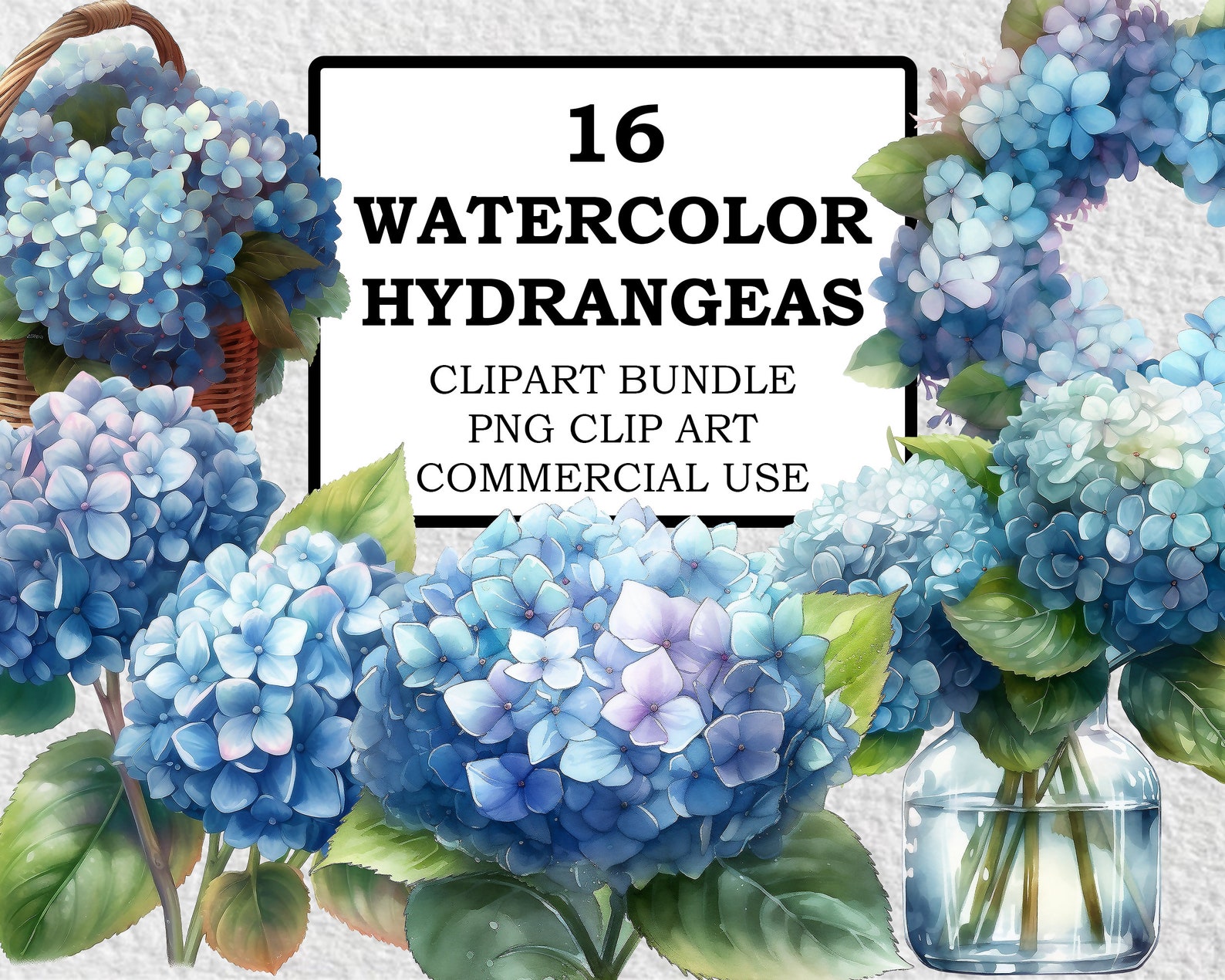Hydrangea Clipart, Hydrangea PNG, Watercolor Hydrangeas Clip Art ...