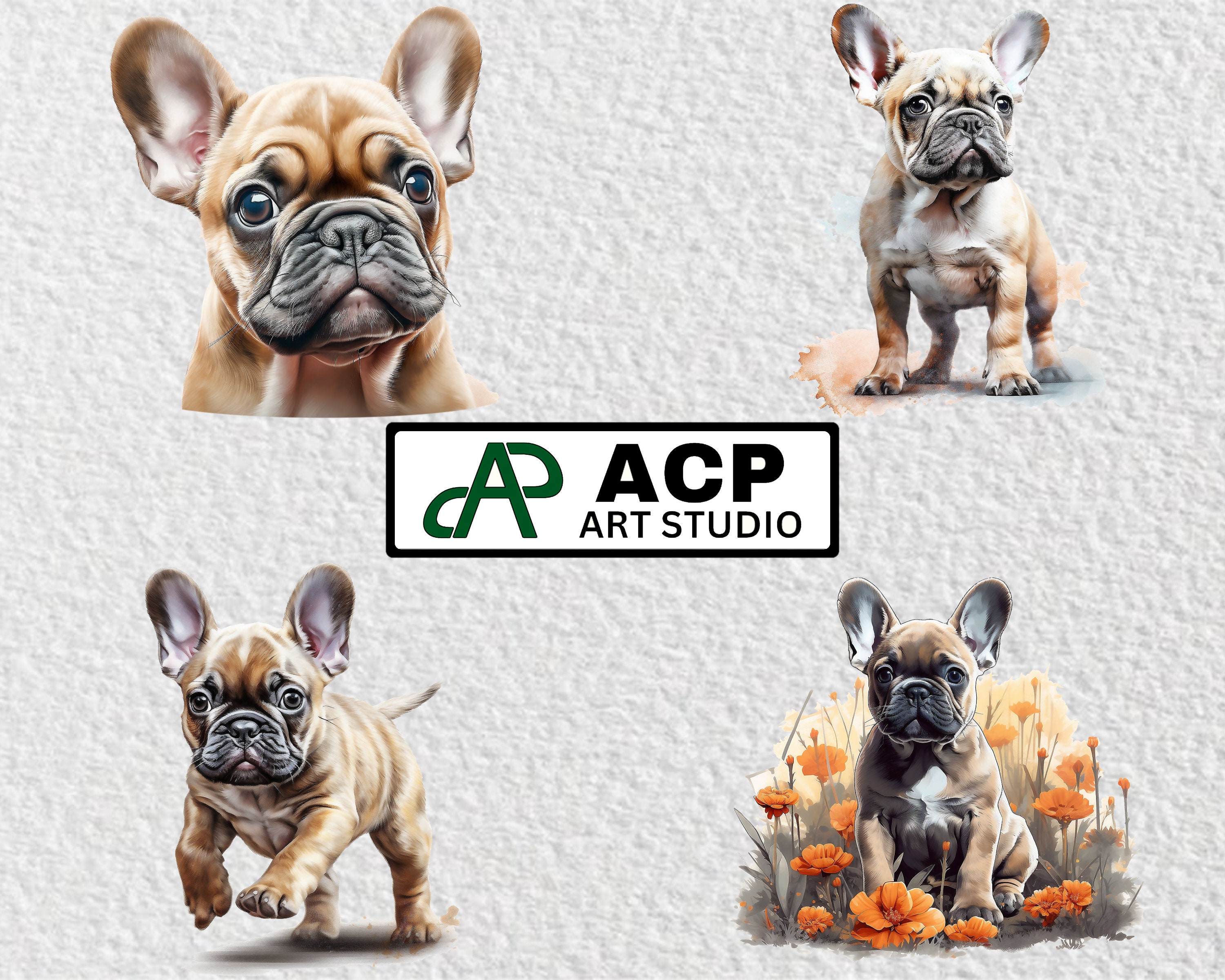 French Bulldog Clipart French Bulldog PNG Watercolor French - Etsy